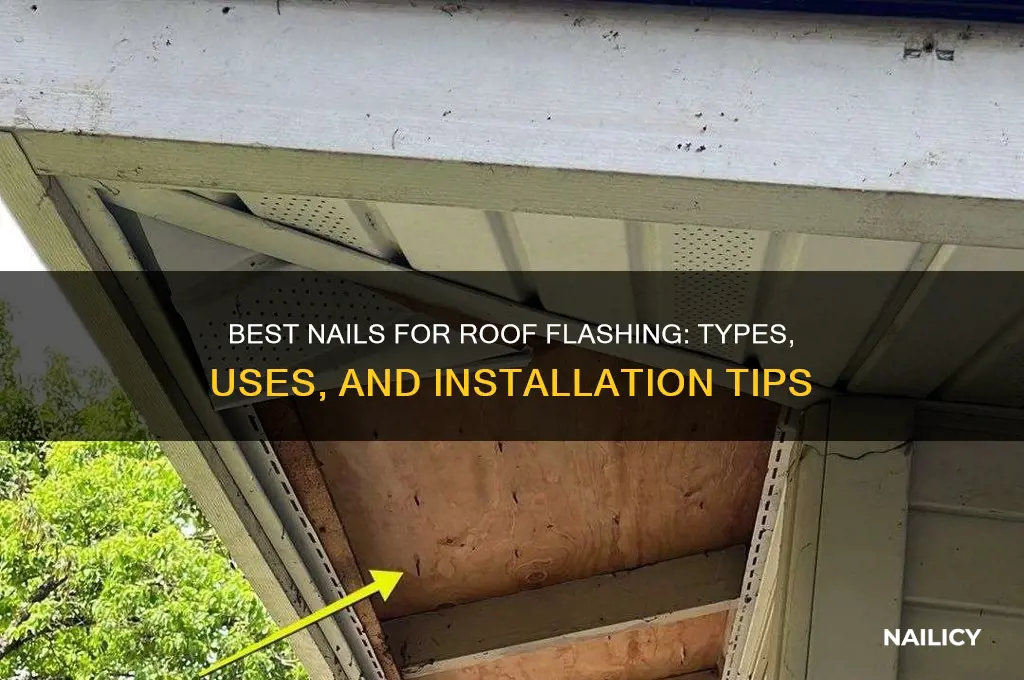 Best Nails For Roof Flashing: Types, Uses, And Installation Tips | Nailicy