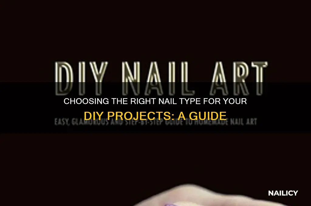 Choosing The Right Nail Type For Your Diy Projects: A Guide | Nailicy