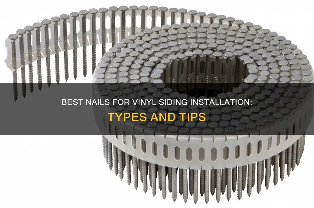 Best Nails For Vinyl Siding Installation: Types And Tips | Nailicy