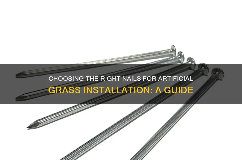 Choosing The Right Nails For Artificial Grass Installation: A Guide ...