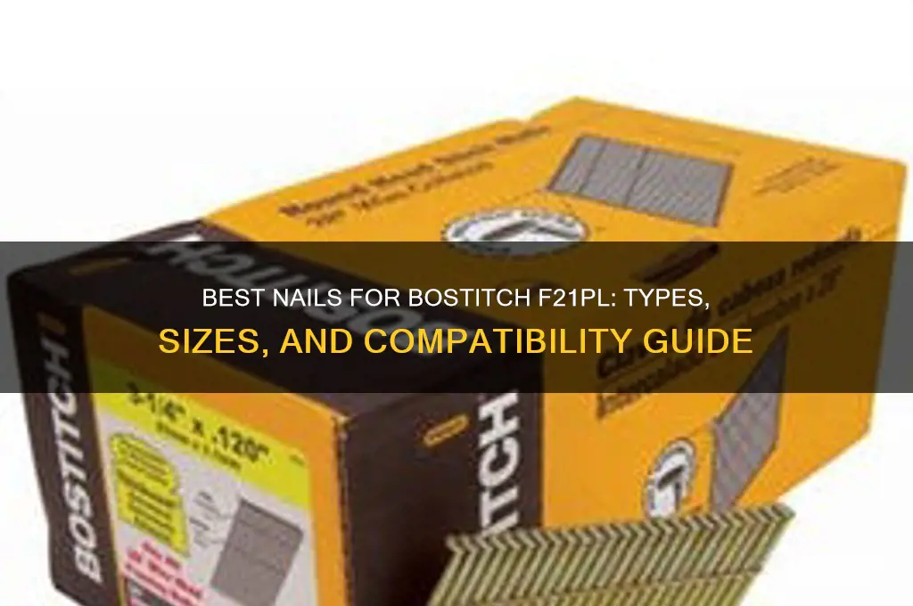 Best Nails For Bostitch F21pl: Types, Sizes, And Compatibility Guide ...