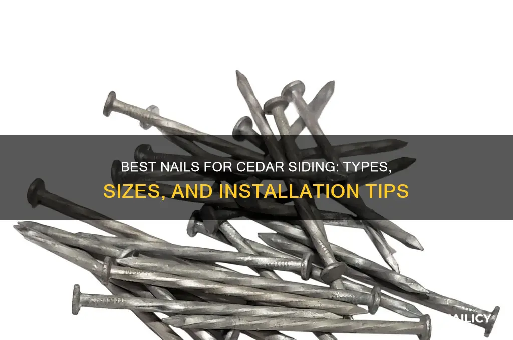 Best Nails For Cedar Siding: Types, Sizes, And Installation Tips | Nailicy