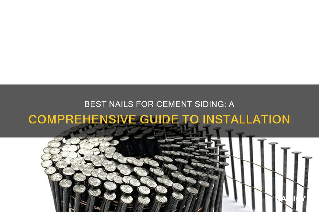 Best Nails For Cement Siding: A Comprehensive Guide To Installation ...