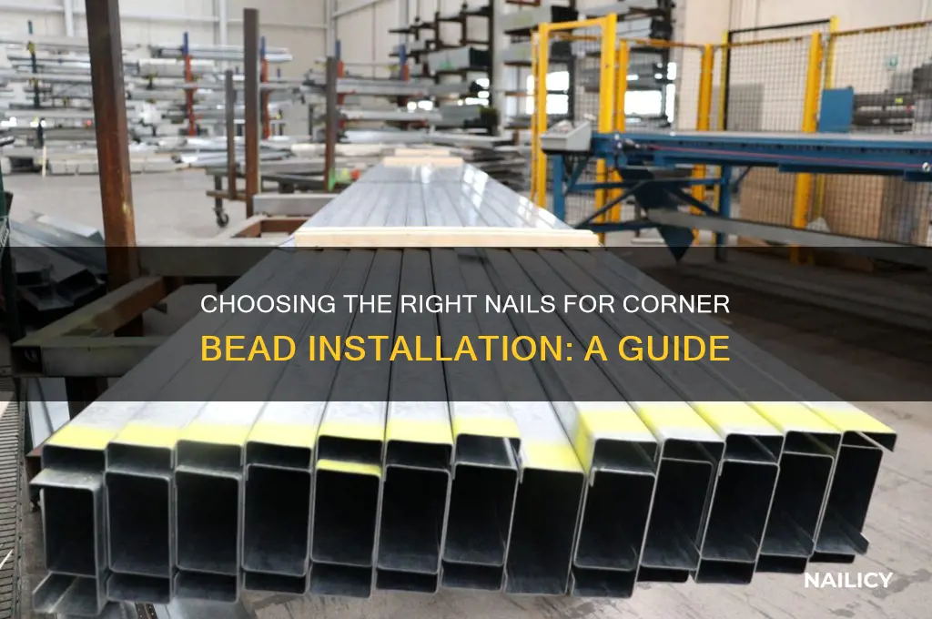 Choosing The Right Nails For Corner Bead Installation: A Guide | Nailicy
