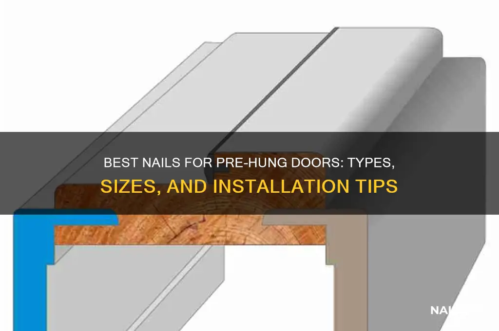 Best Nails For Pre-Hung Doors: Types, Sizes, And Installation Tips ...