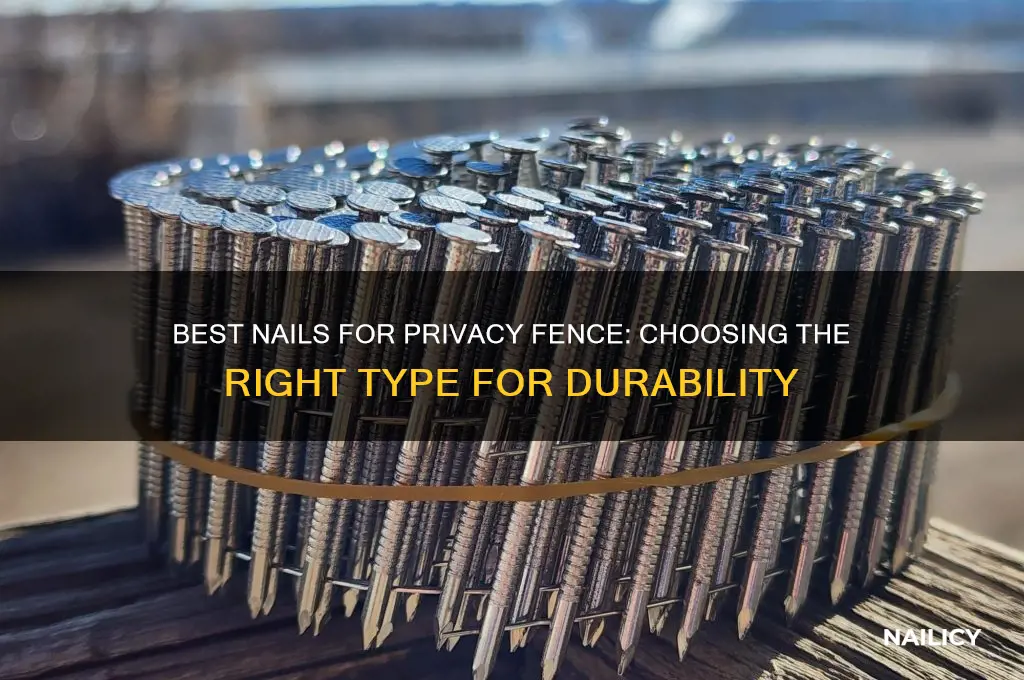 Best Nails For Privacy Fence: Choosing The Right Type For Durability ...