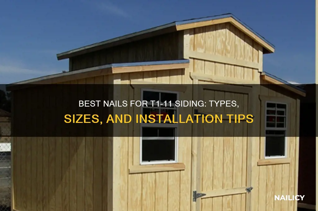 Best Nails For T1-11 Siding: Types, Sizes, And Installation Tips | Nailicy