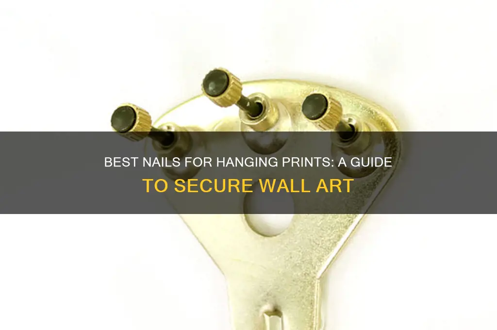 Best Nails For Hanging Prints: A Guide To Secure Wall Art | Nailicy