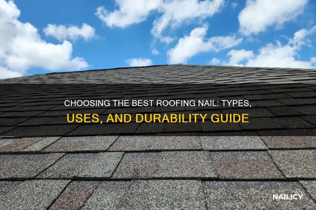 Choosing The Best Roofing Nail: Types, Uses, And Durability Guide | Nailicy
