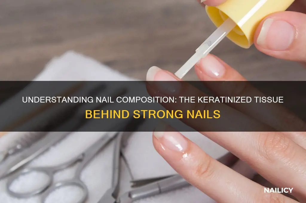 Understanding Nail Composition: The Keratinized Tissue Behind Strong ...