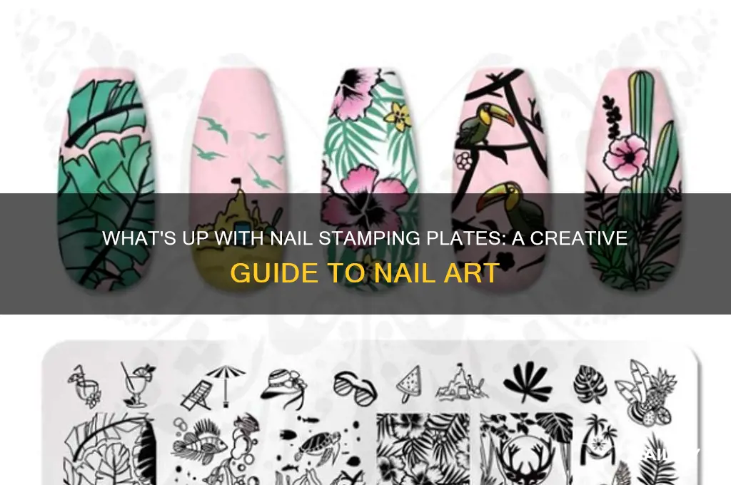What's Up With Nail Stamping Plates: A Creative Guide To Nail Art | Nailicy