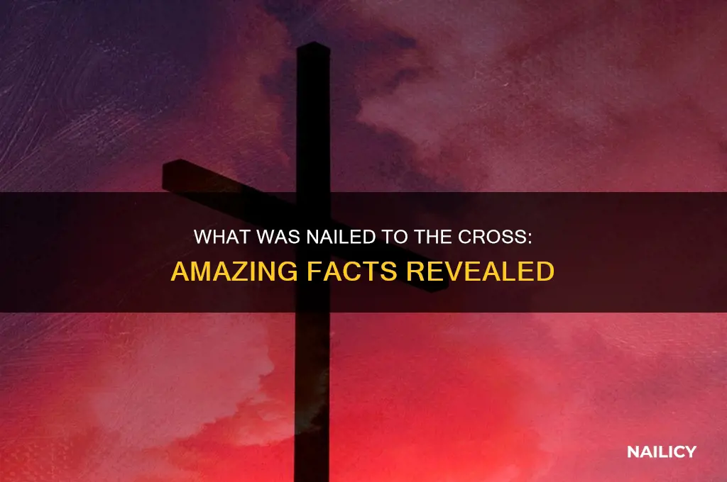 What Was Nailed To The Cross: Amazing Facts Revealed | Nailicy