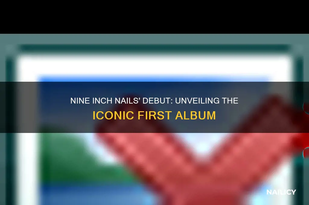 Nine Inch Nails' Debut: Unveiling The Iconic First Album | Nailicy