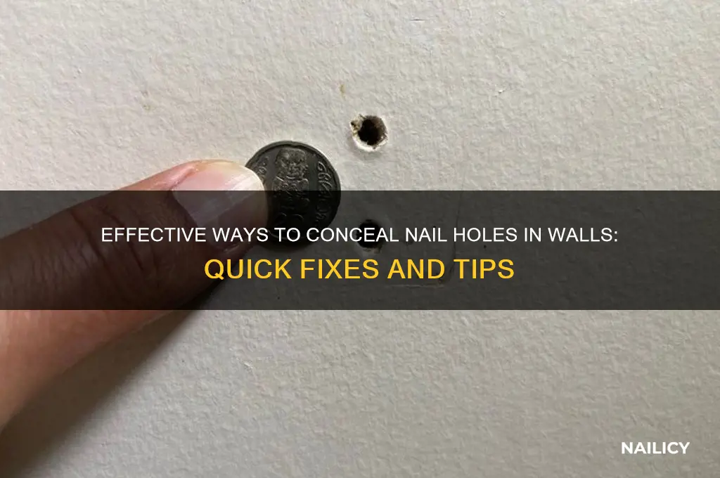 Effective Ways To Conceal Nail Holes In Walls: Quick Fixes And Tips ...