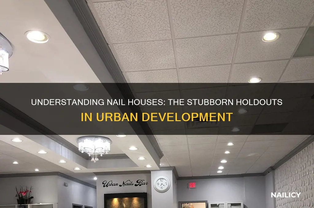Understanding Nail Houses: The Stubborn Holdouts In Urban Development ...