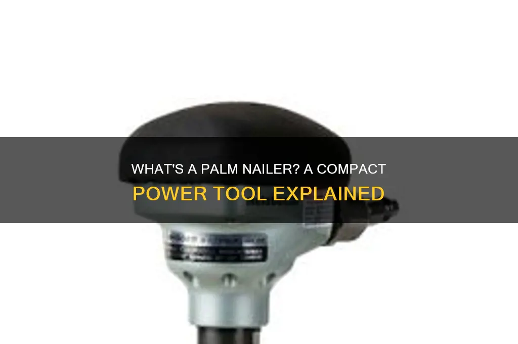 What's A Palm Nailer? A Compact Power Tool Explained | Nailicy