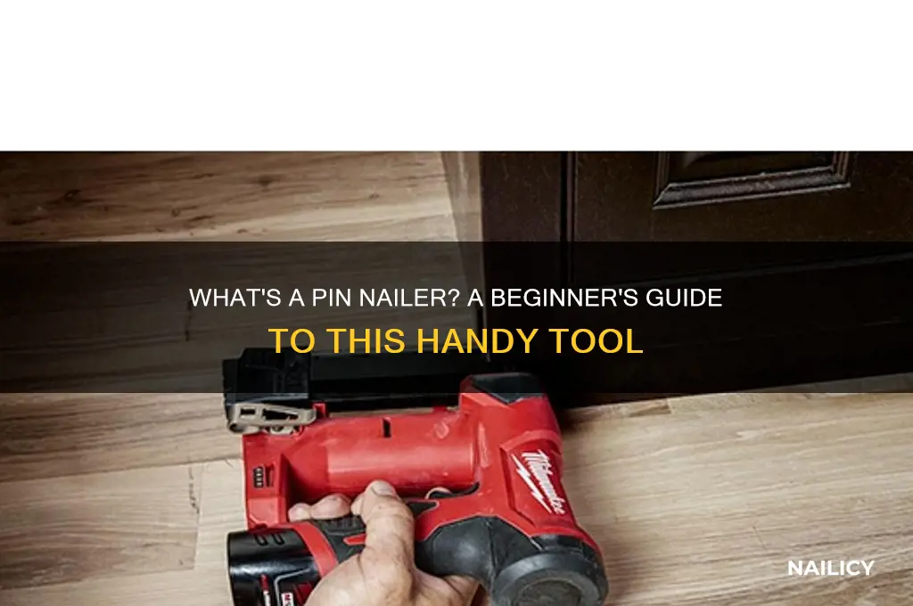 What's A Pin Nailer? A Beginner's Guide To This Handy Tool | Nailicy