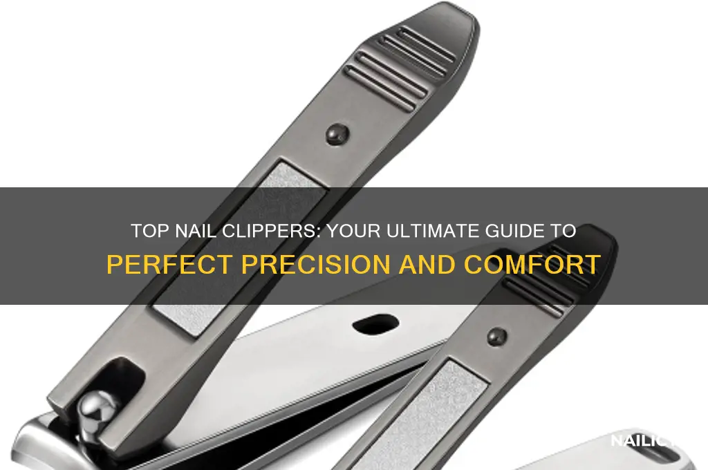 Top Nail Clippers: Your Ultimate Guide To Perfect Precision And Comfort ...