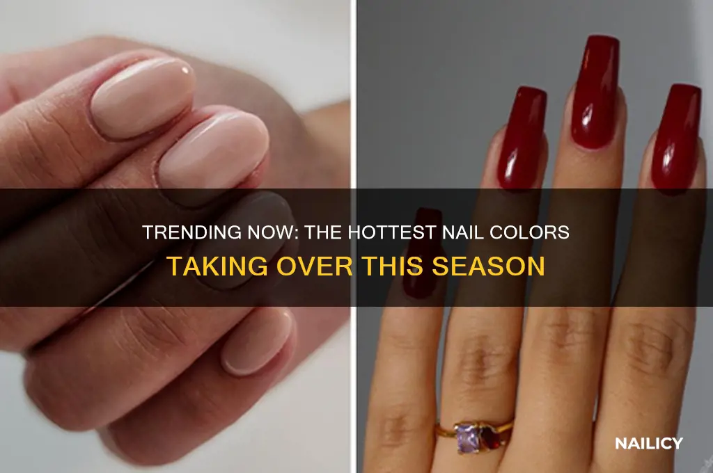 Trending Now: The Hottest Nail Colors Taking Over This Season | Nailicy