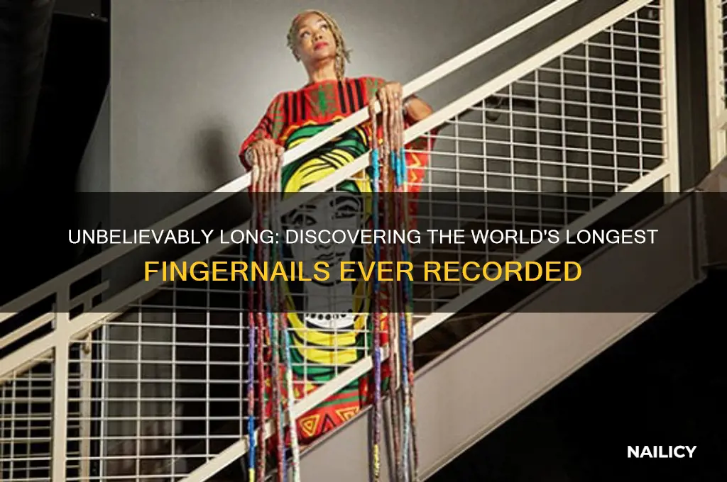 Unbelievably Long: Discovering The World's Longest Fingernails Ever ...