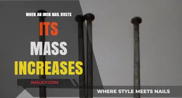 Rusting Iron Nails: Why Mass Increases During Oxidation | Nailicy