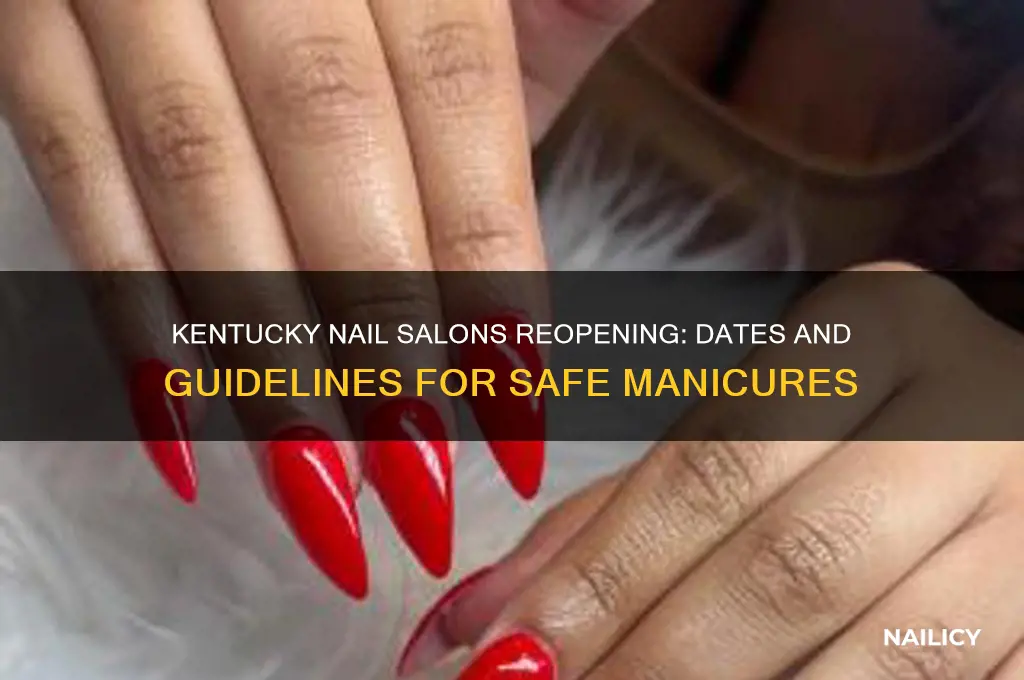 Kentucky Nail Salons Reopening: Dates And Guidelines For Safe Manicures ...