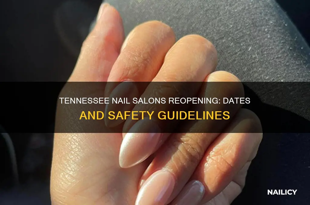 Tennessee Nail Salons Reopening: Dates And Safety Guidelines | Nailicy