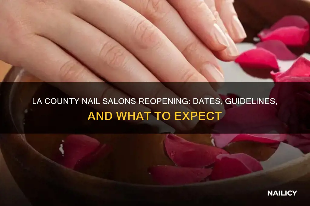La County Nail Salons Reopening: Dates, Guidelines, And What To Expect ...