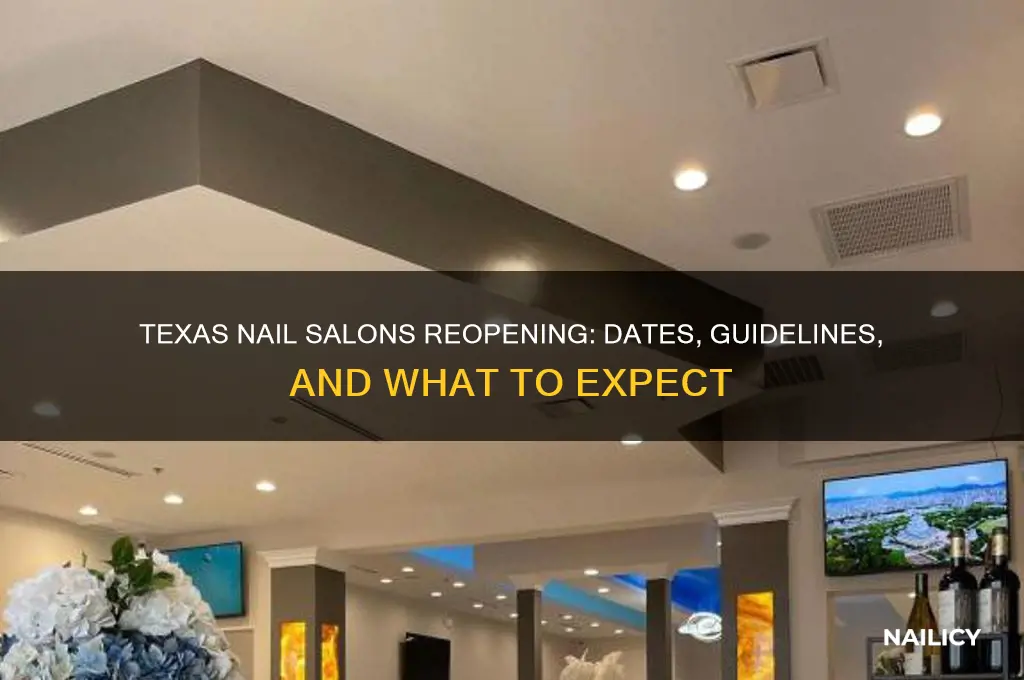 Texas Nail Salons Reopening: Dates, Guidelines, And What To Expect ...