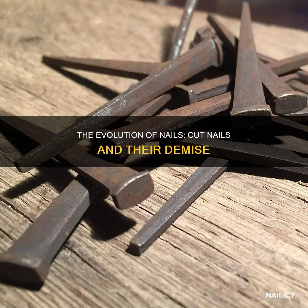 The Evolution Of Nails: Cut Nails And Their Demise | Nailicy