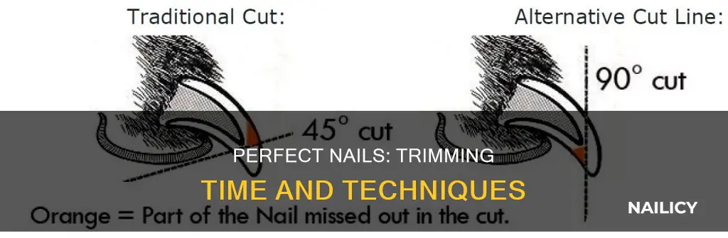 Perfect Nails: Trimming Time And Techniques | Nailicy
