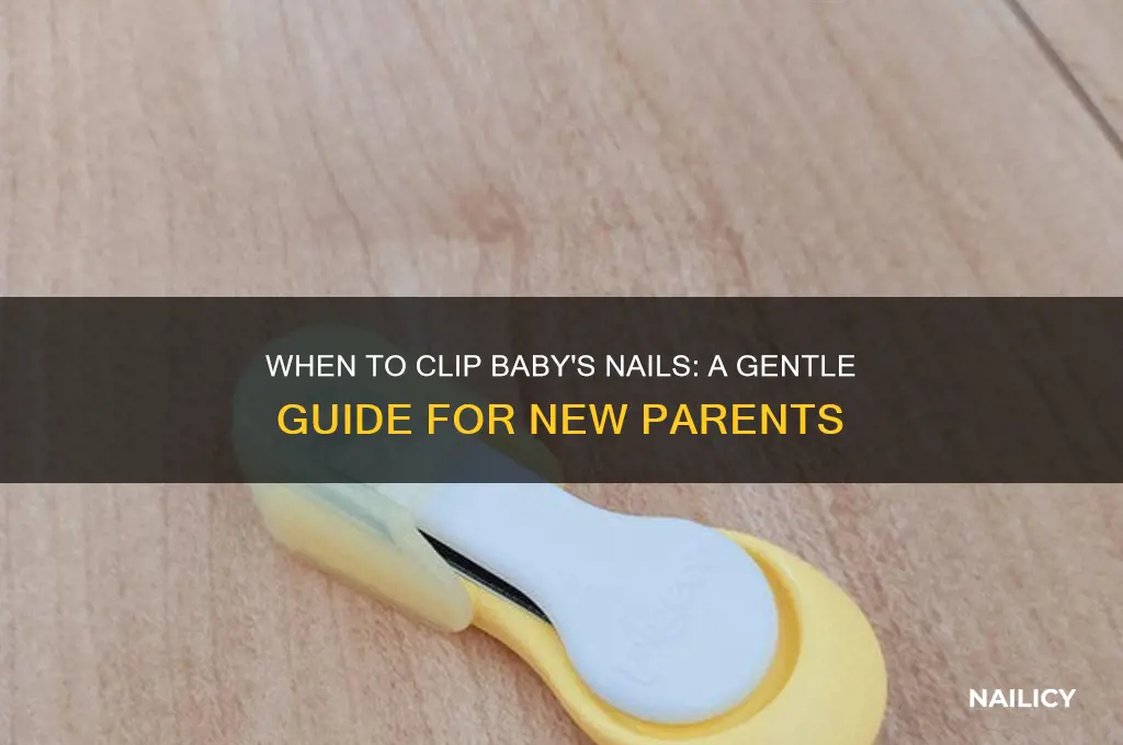 When To Clip Baby's Nails: A Gentle Guide For New Parents | Nailicy