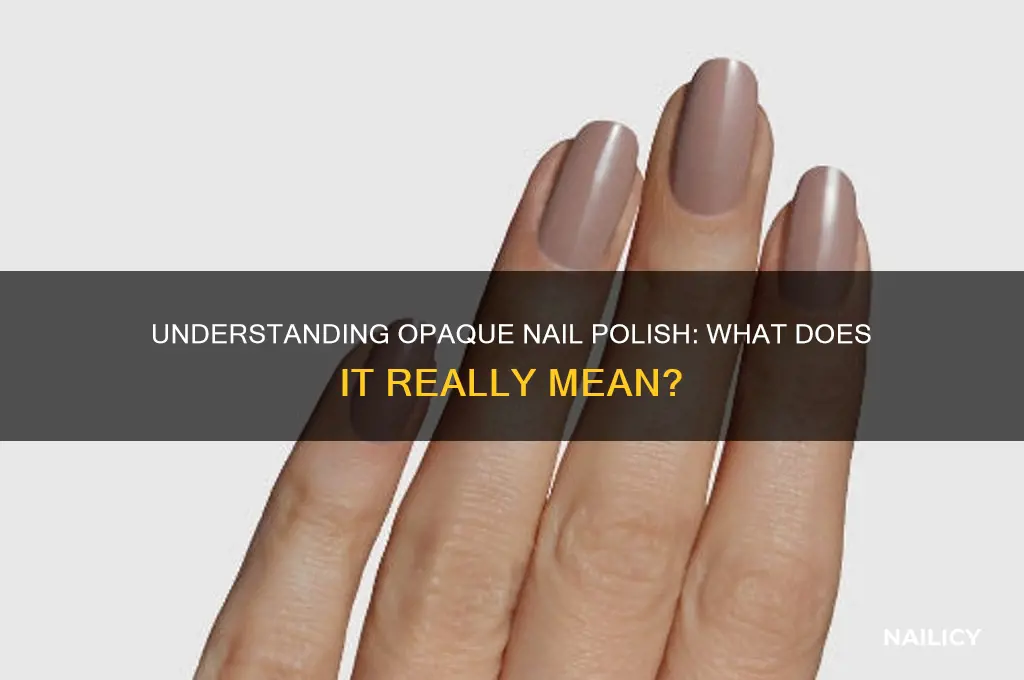 Understanding Opaque Nail Polish: What Does It Really Mean? | Nailicy