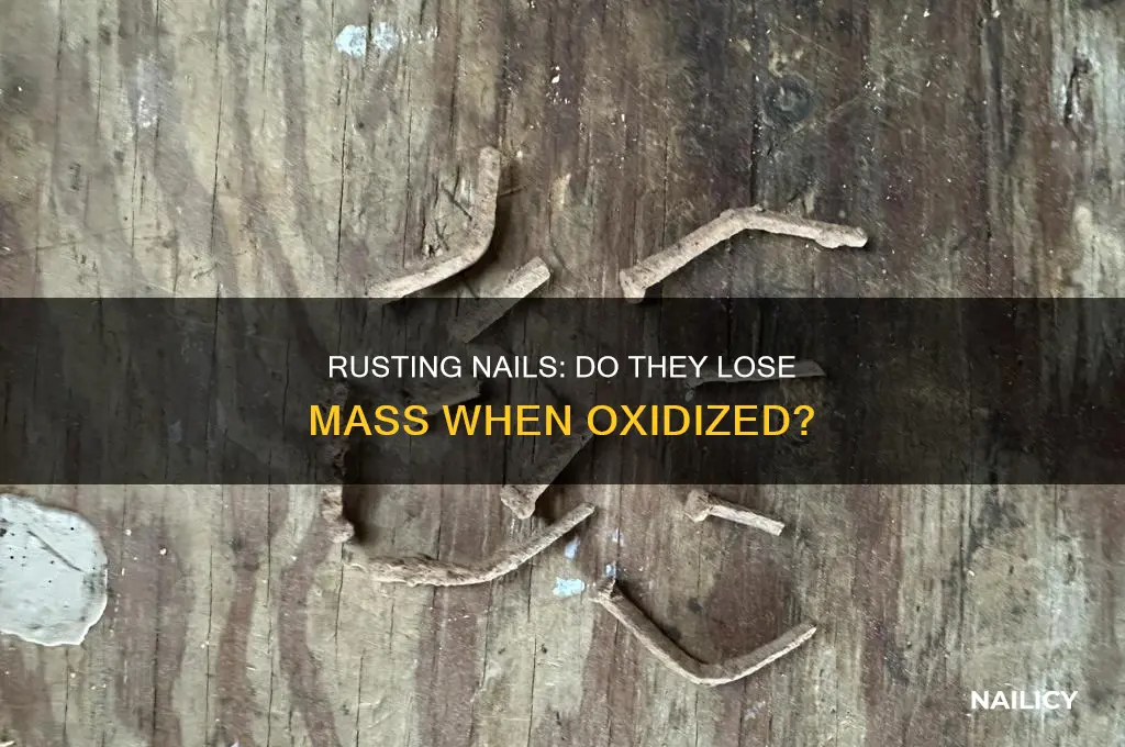Rusting Nails: Do They Lose Mass When Oxidized? | Nailicy