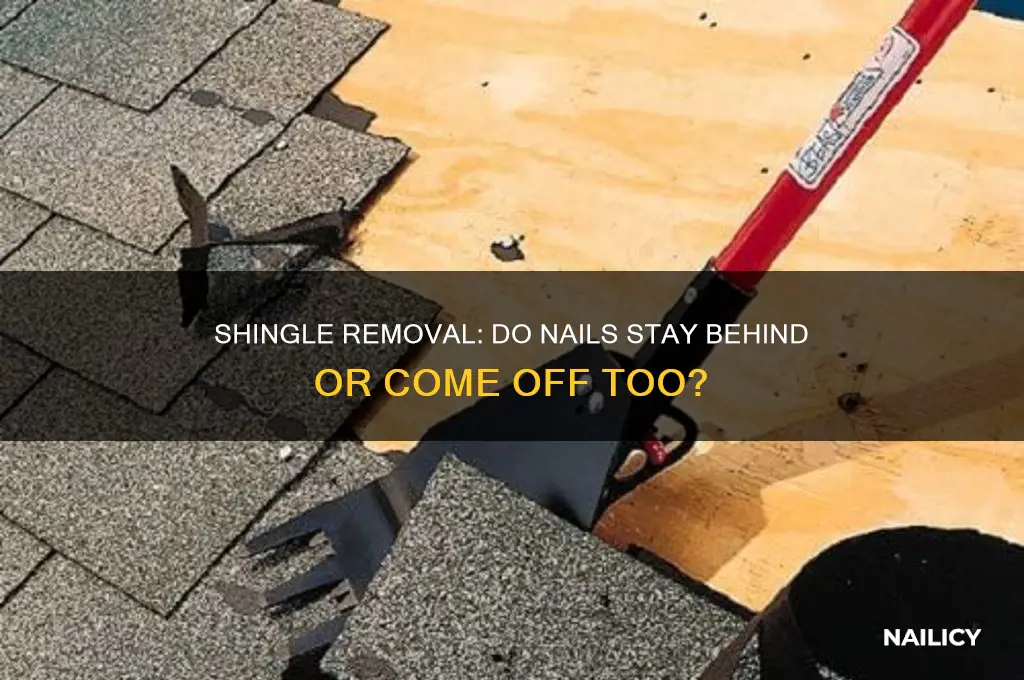 Shingle Removal: Do Nails Stay Behind Or Come Off Too? | Nailicy