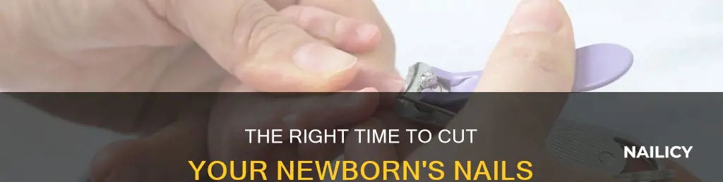 The Right Time To Cut Your Newborn's Nails | Nailicy