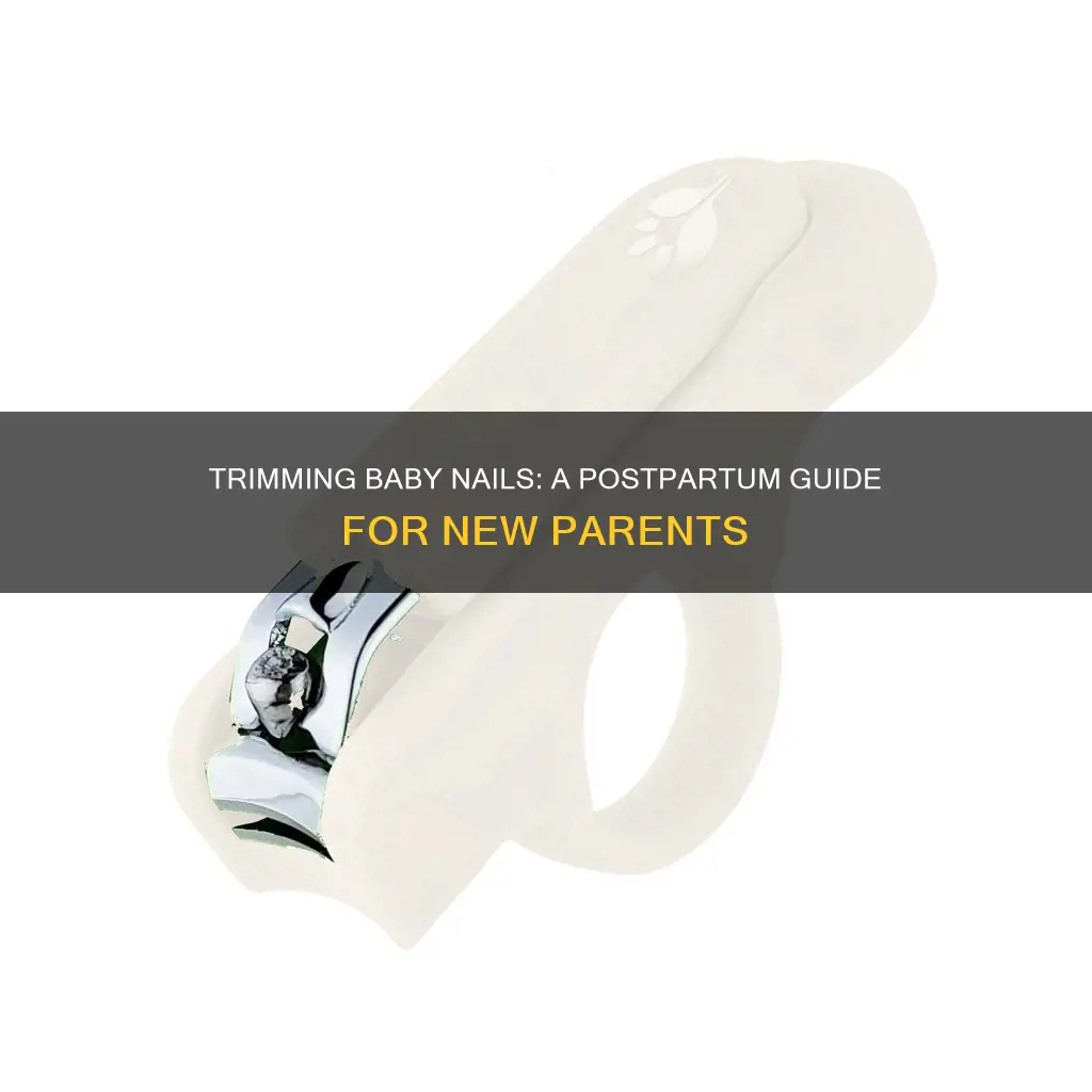 Trimming Baby Nails: A Postpartum Guide For New Parents | Nailicy