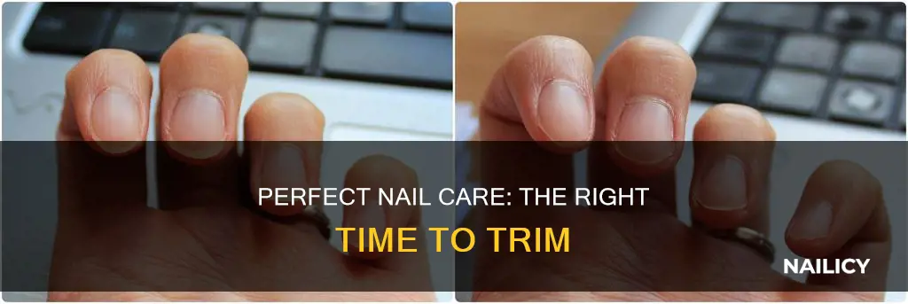 Perfect Nail Care: The Right Time To Trim | Nailicy