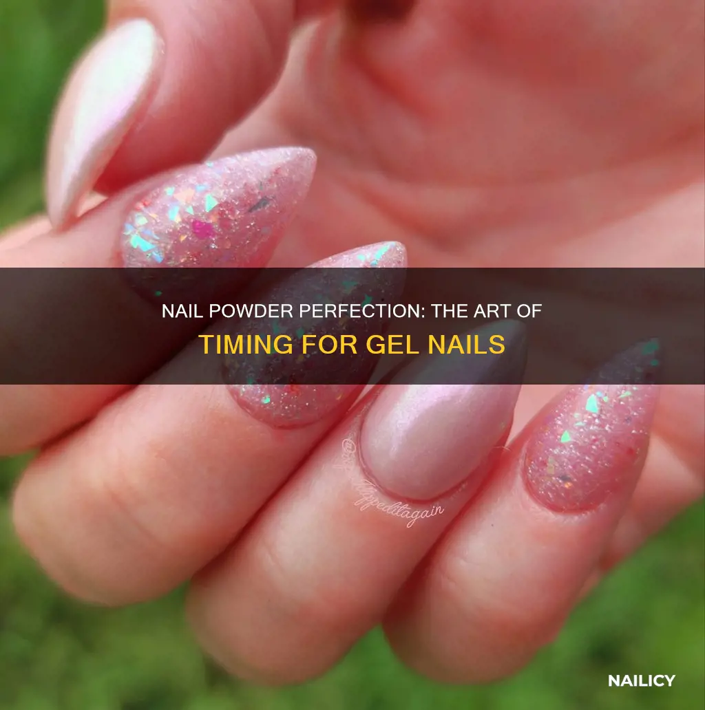 Nail Powder Perfection: The Art Of Timing For Gel Nails | Nailicy