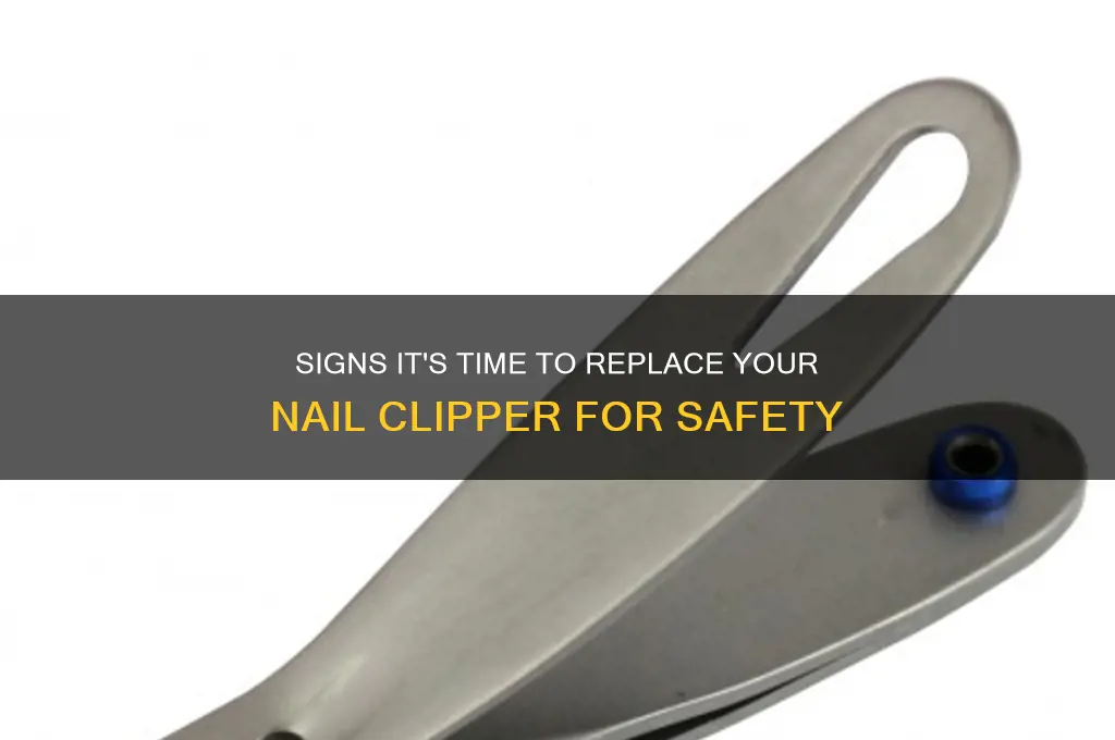 Signs It's Time To Replace Your Nail Clipper For Safety | Nailicy