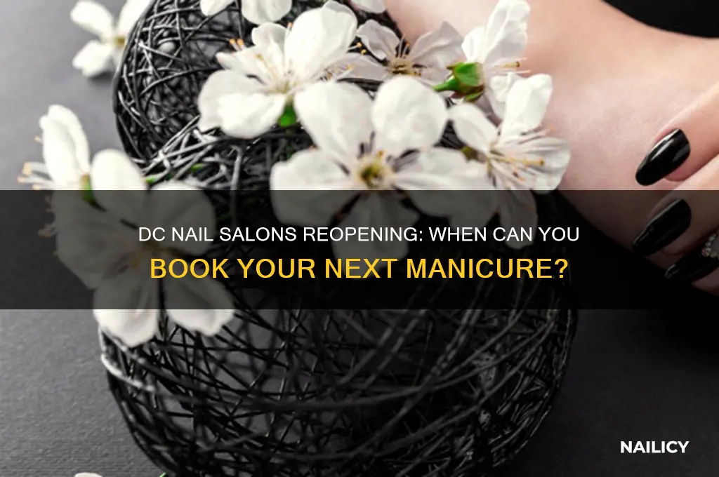 Dc Nail Salons Reopening: When Can You Book Your Next Manicure? | Nailicy