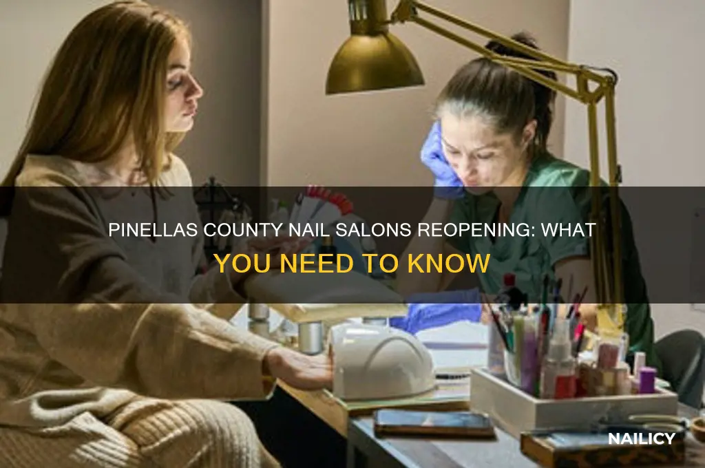 Pinellas County Nail Salons Reopening: What You Need To Know | Nailicy