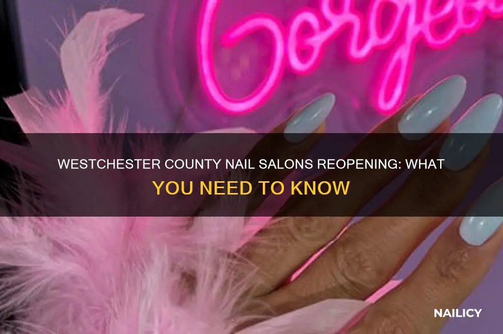 Westchester County Nail Salons Reopening: What You Need To Know | Nailicy