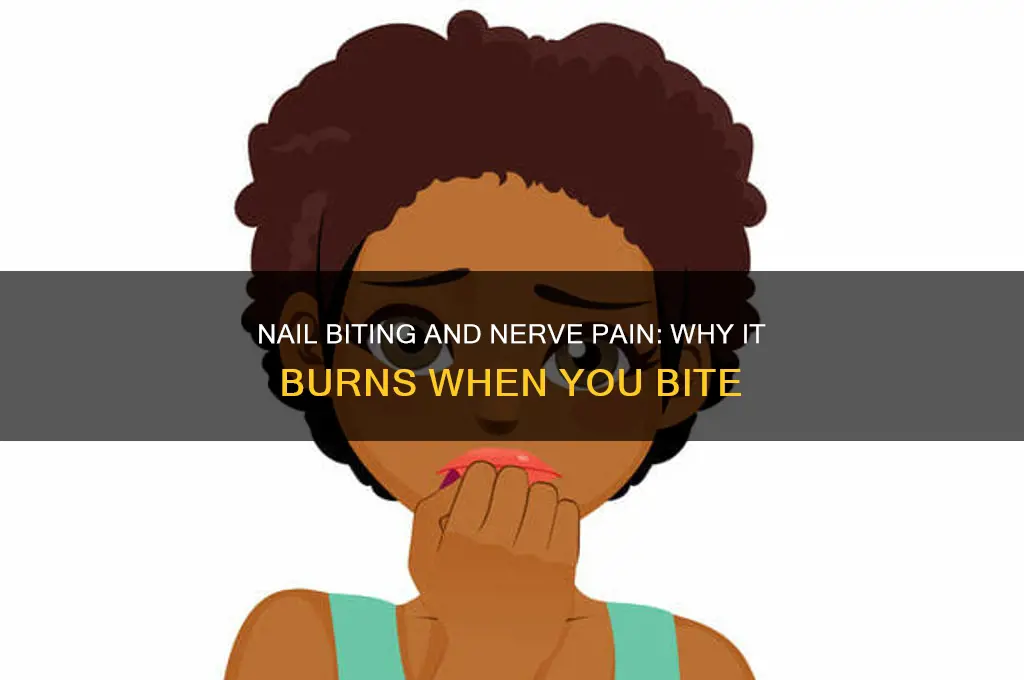 Nail Biting And Nerve Pain: Why It Burns When You Bite | Nailicy