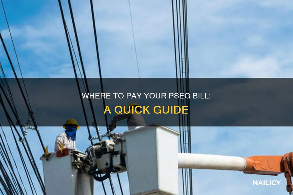 Where To Pay Your Pseg Bill: A Quick Guide | Nailicy