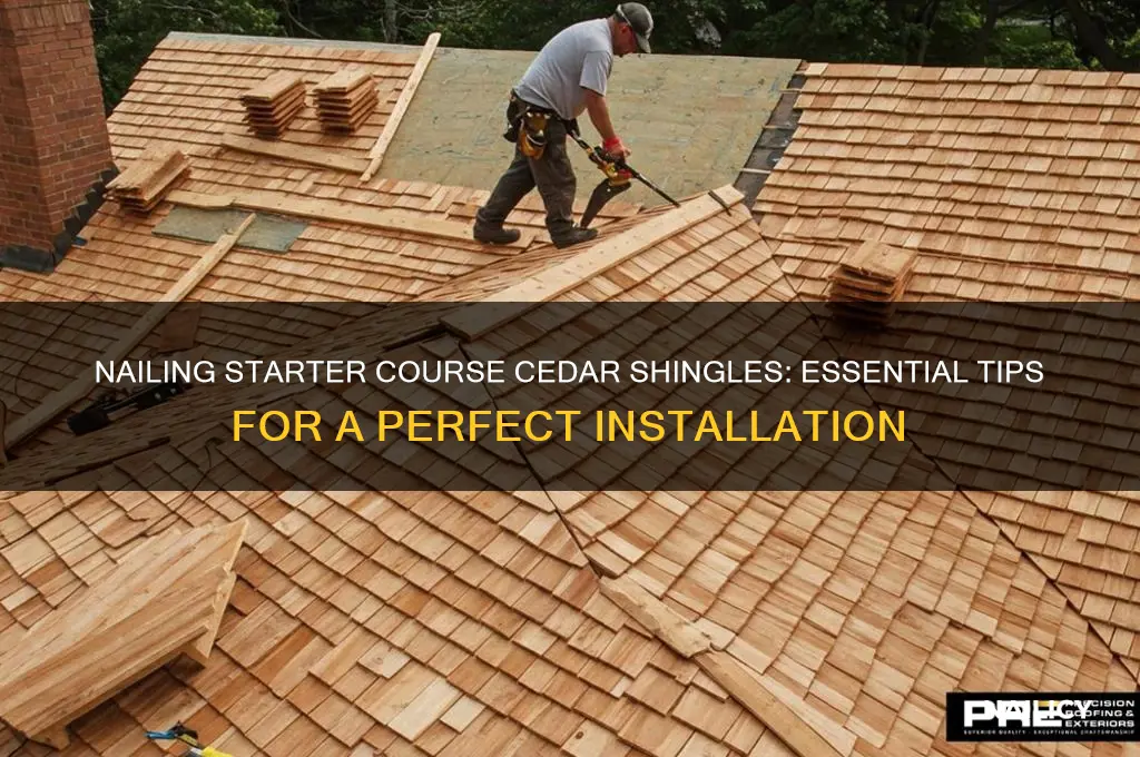 Nailing Starter Course Cedar Shingles: Essential Tips For A Perfect ...