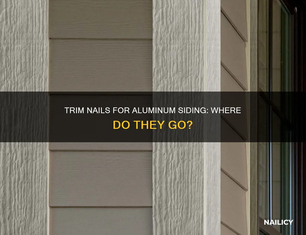 Trim Nails For Aluminum Siding: Where Do They Go? | Nailicy