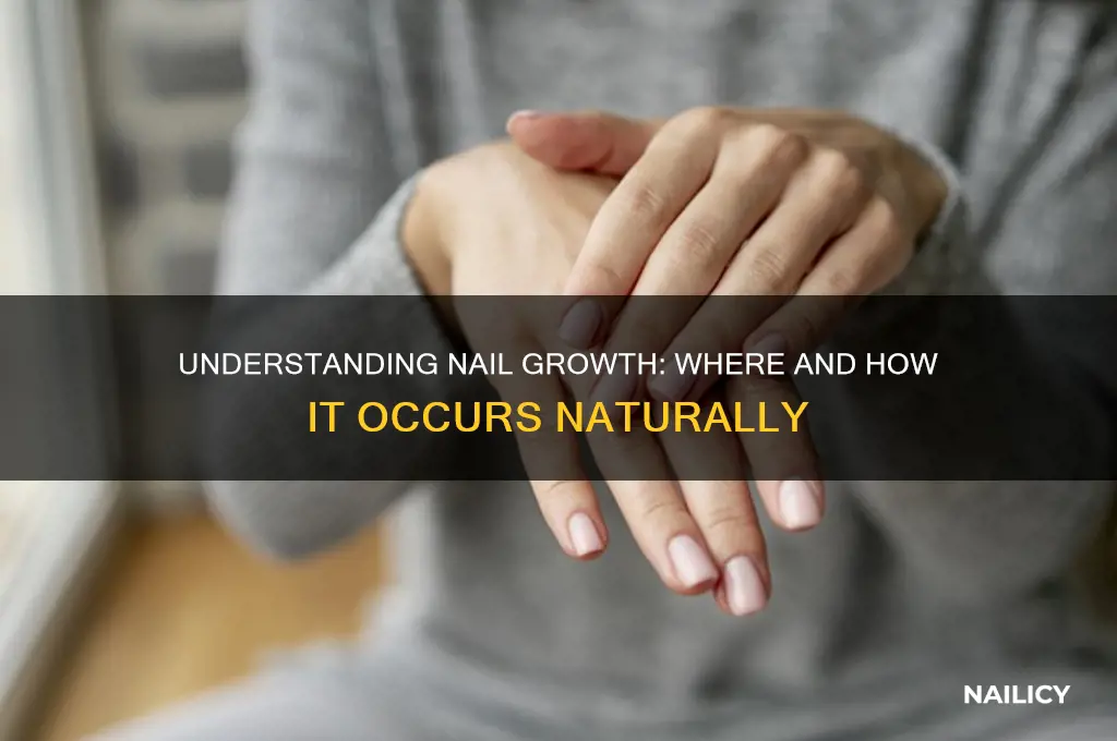 Understanding Nail Growth: Where And How It Occurs Naturally | Nailicy