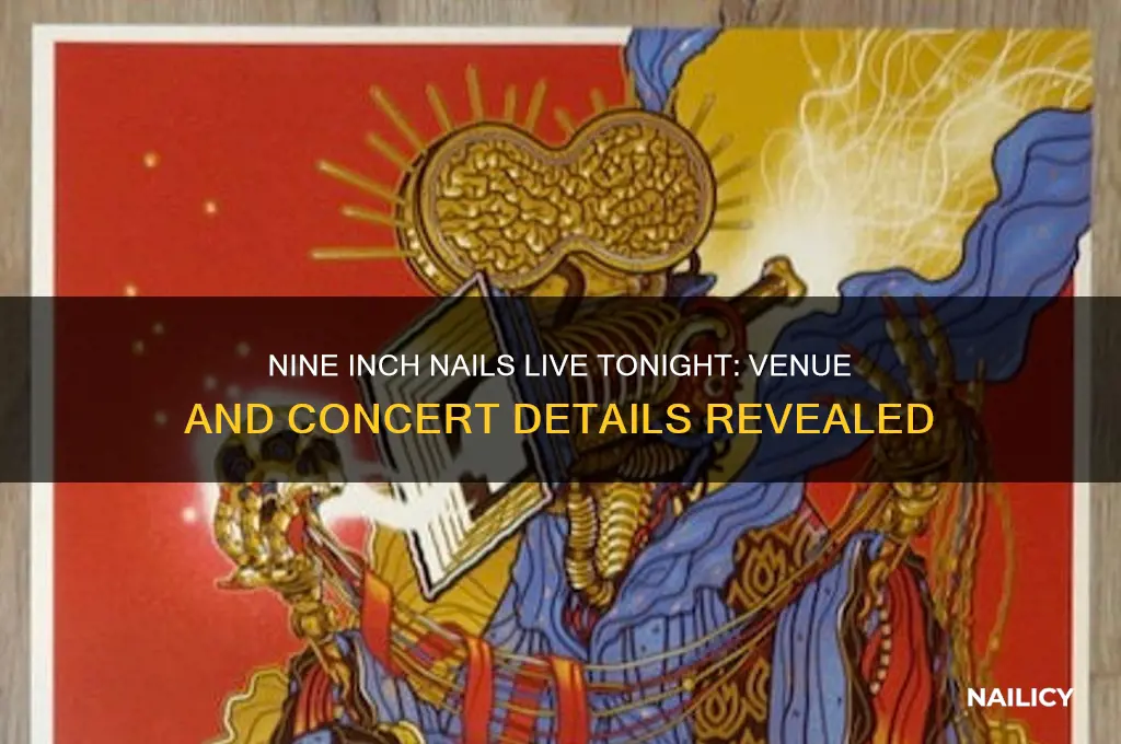 Nine Inch Nails Live Tonight: Venue And Concert Details Revealed | Nailicy