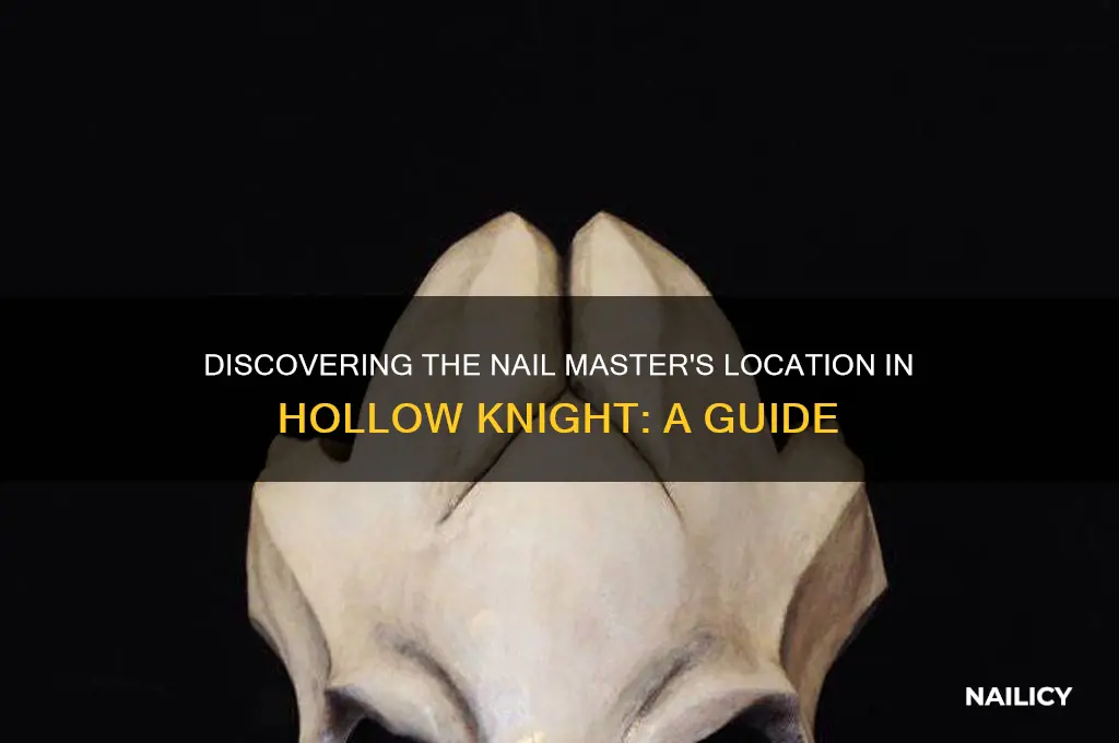 Discovering The Nail Master's Location In Hollow Knight: A Guide | Nailicy